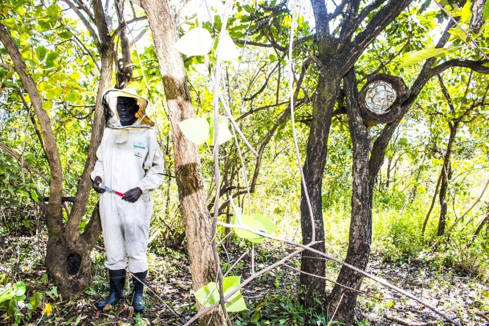 Uganda - GOAL Global